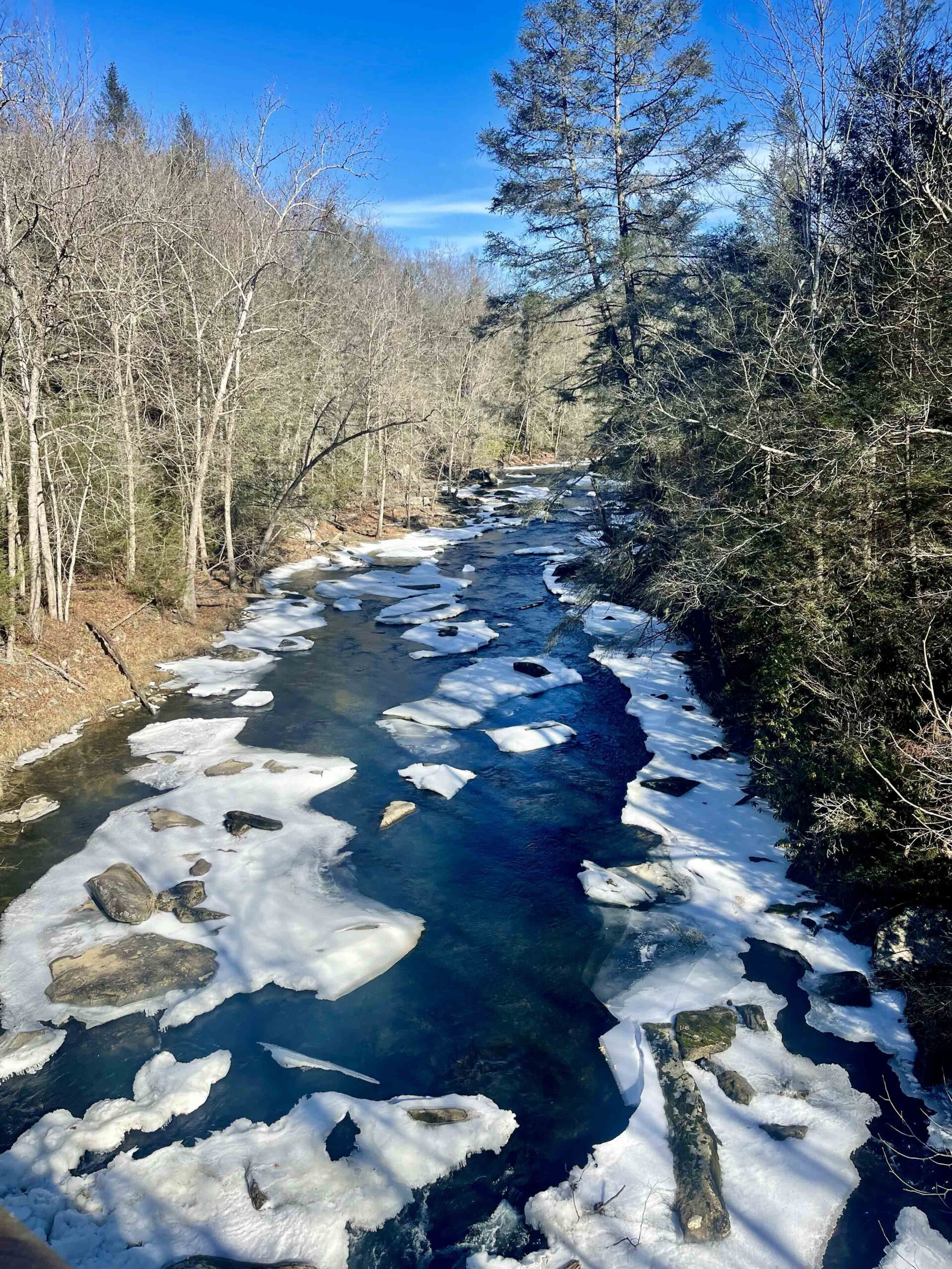 Group Hike: Guest River Gorge - Norton, Virginia