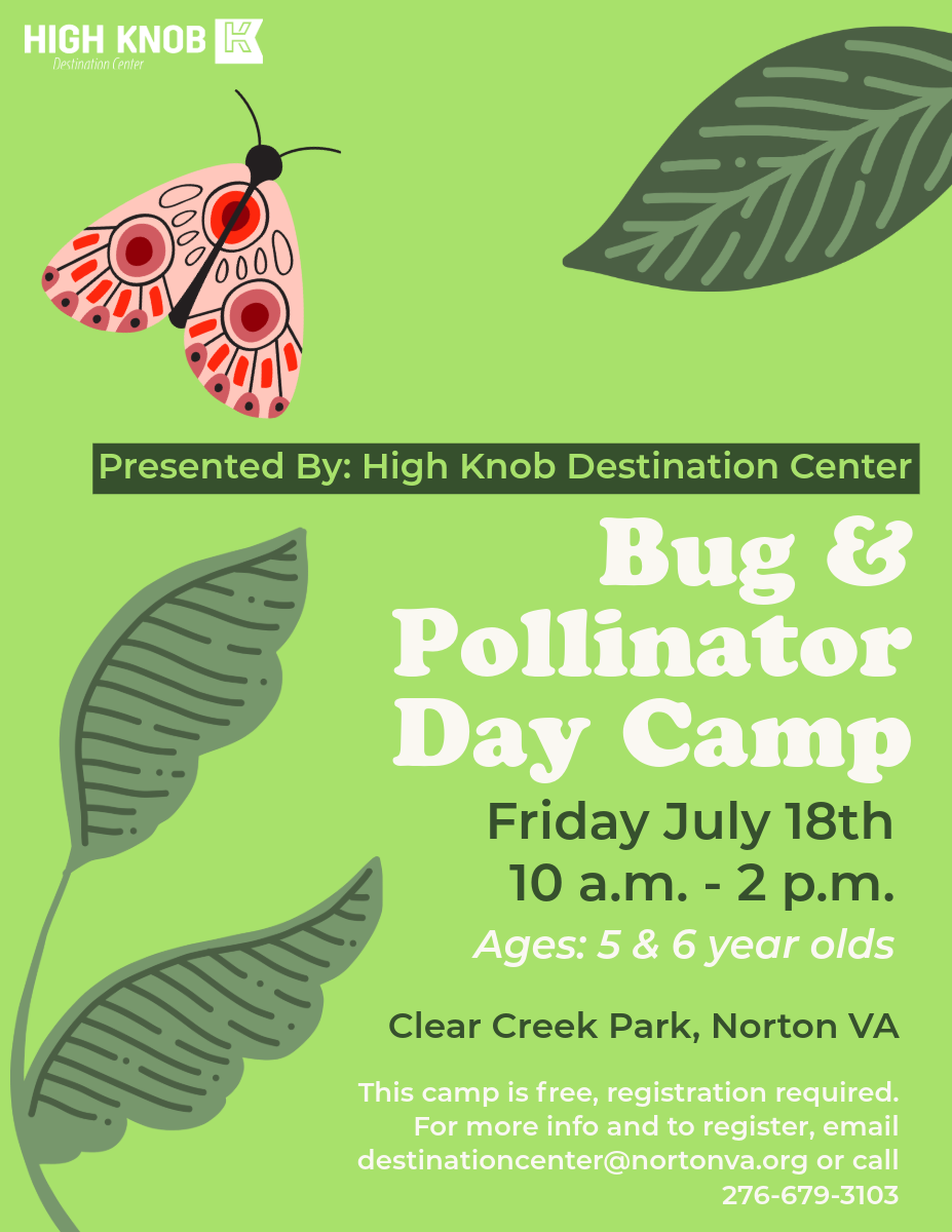 Kids Bug & Pollinator Day Camp - Norton, Virginia