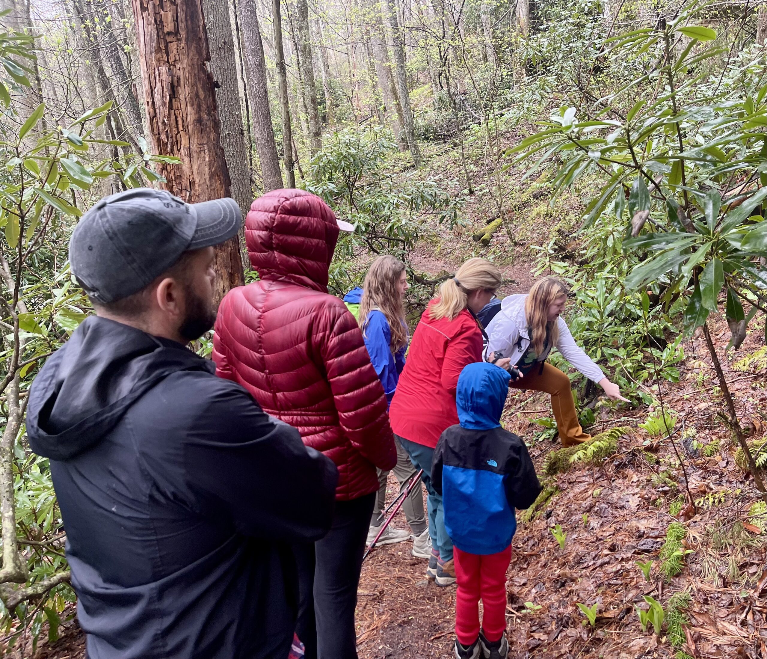 Flag Rock Interpretive Hike - Norton, Virginia